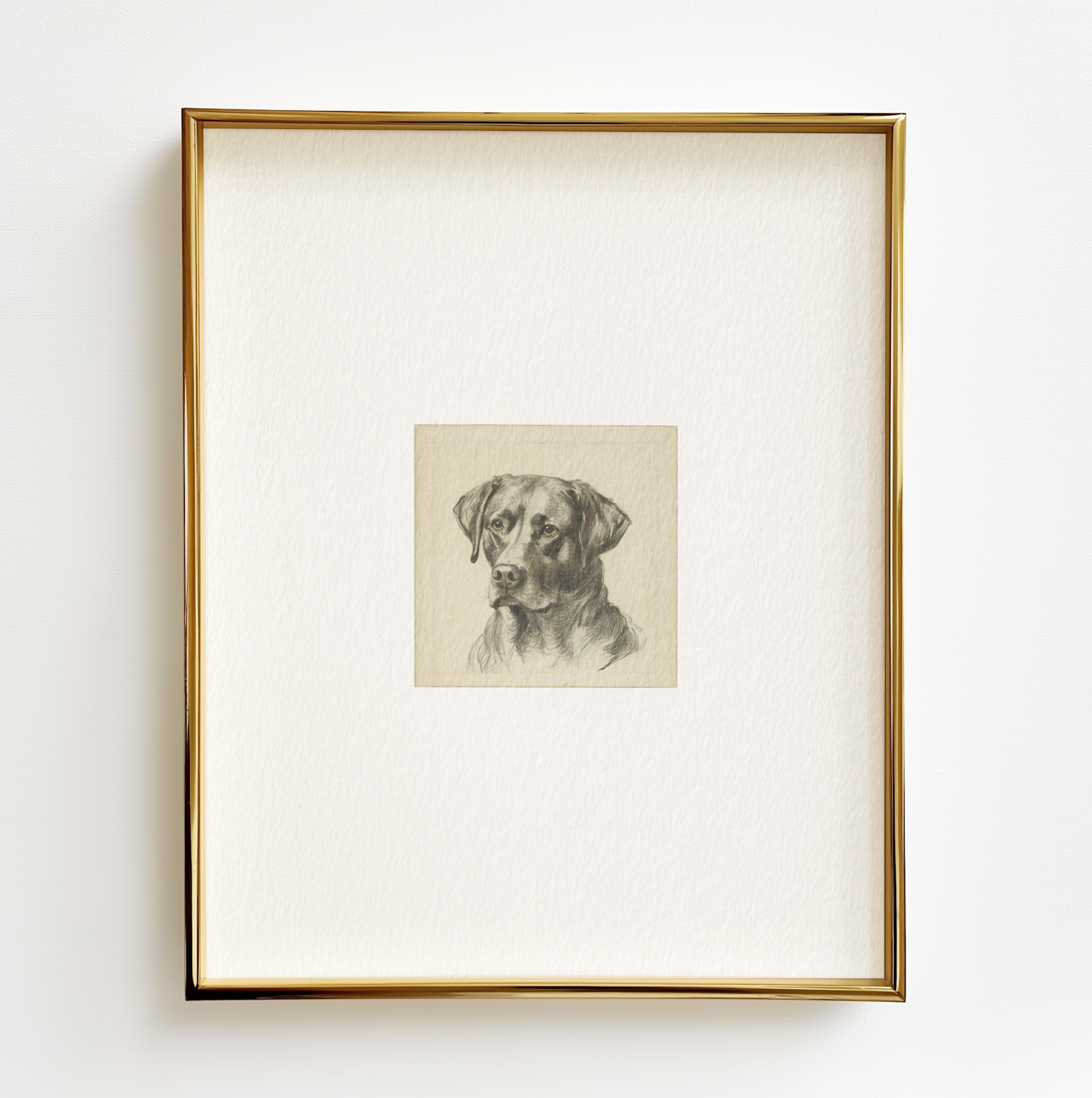 Chocolate Labrador Retriever – Pelican Press